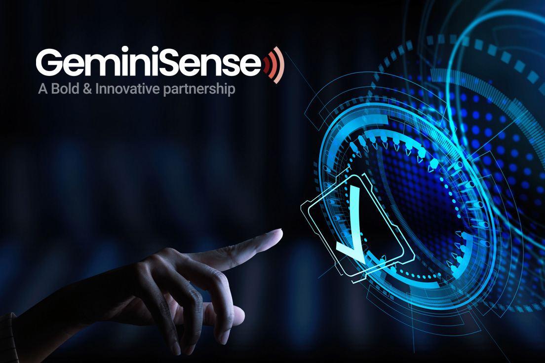 Why having the right support package is crucial - GeminiSense